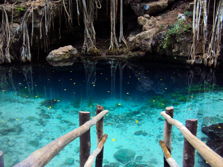 Cenotes Tours - Vip Riviera Maya