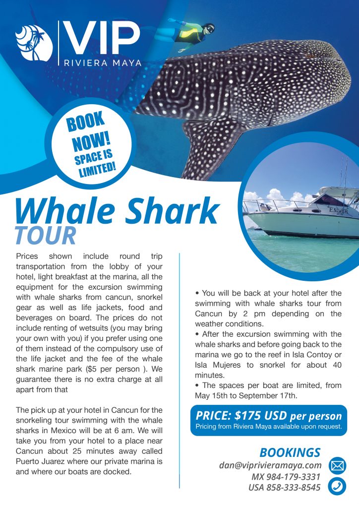 Whale Shark Tour - Vip Riviera Maya