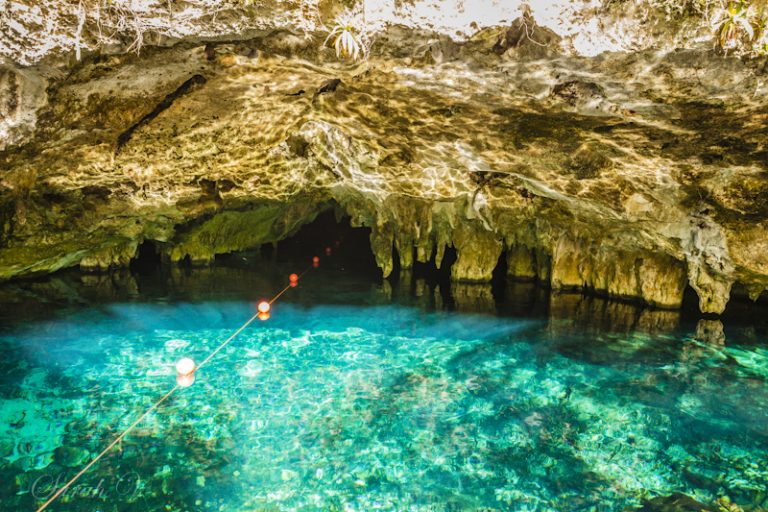 Cenotes Tours - Vip Riviera Maya