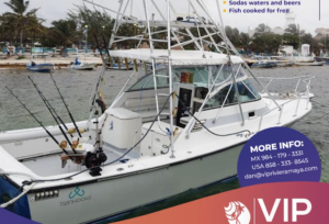 All Tours - Vip Riviera Maya