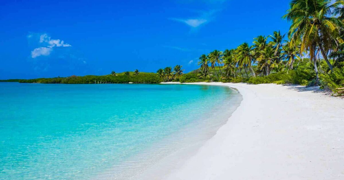 Catamarans and Fishing Tours - Vip Riviera Maya